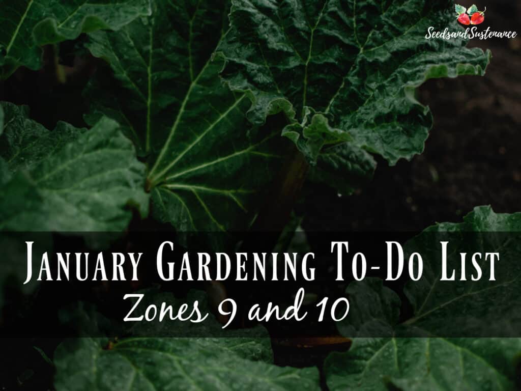 January Gardening To Do List - Seeds & Sustenance