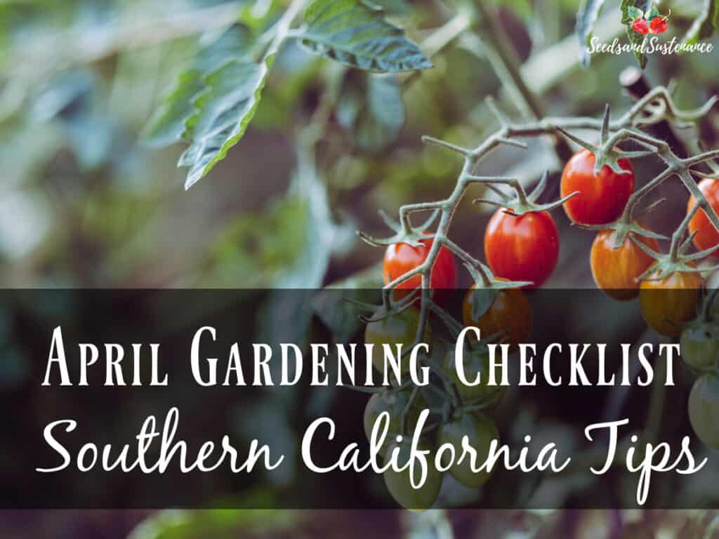 April Gardening Checklist: Southern California Tips - Seeds & Sustenance
